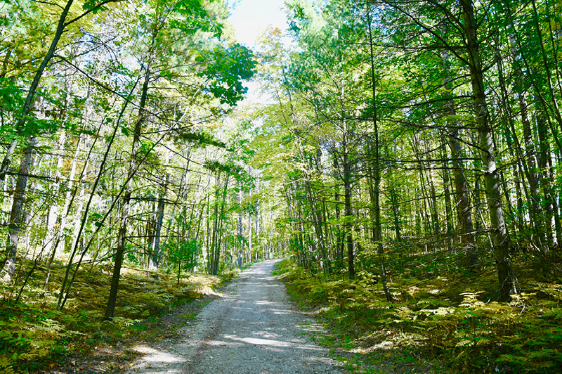 Michigan Trails | Forest Heritage Trail